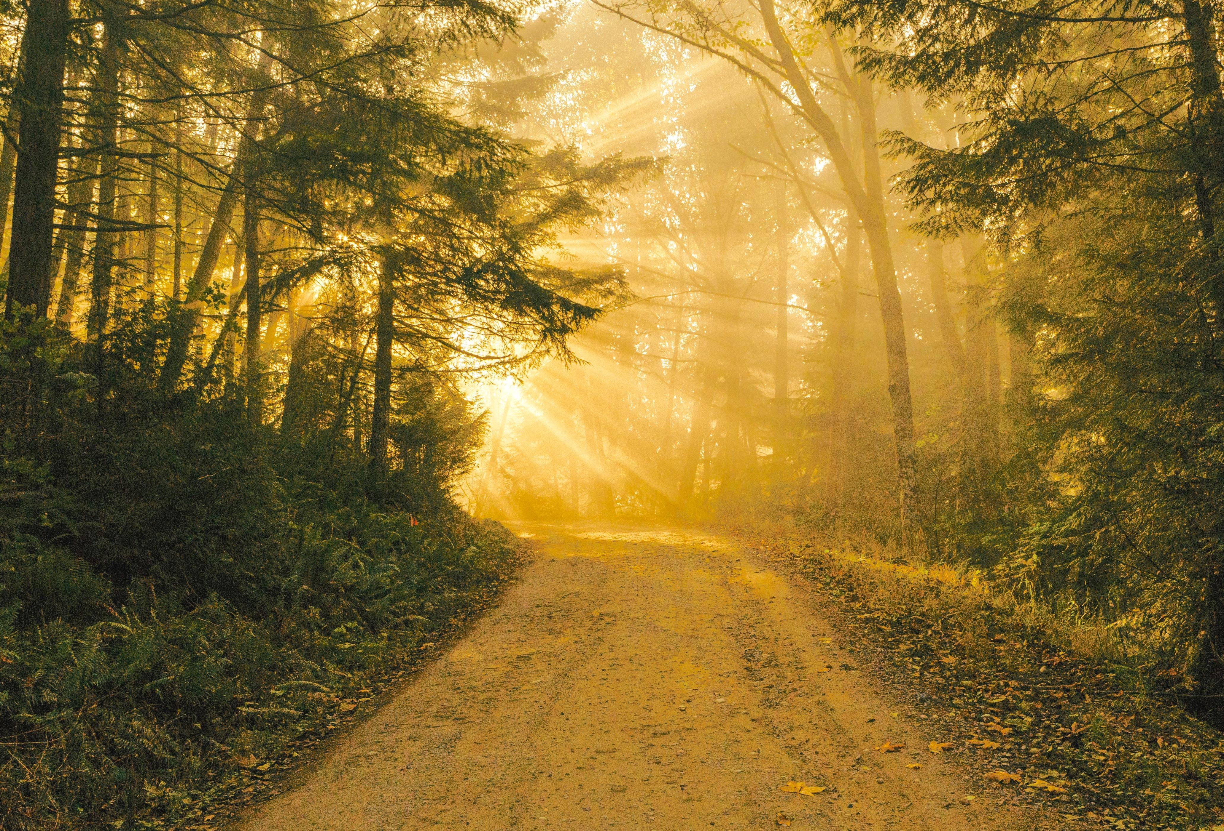 path sun Easter Lent | Building Faith