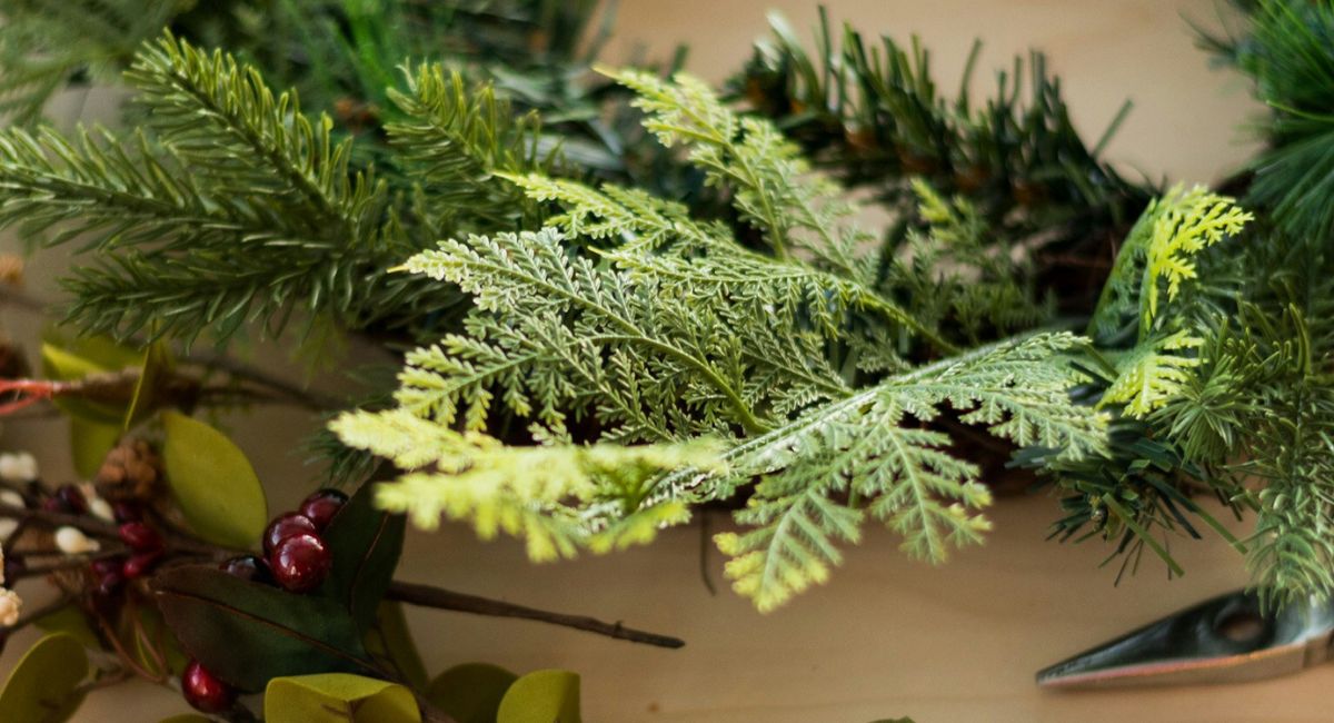 New and Recent Formation Resources for Advent